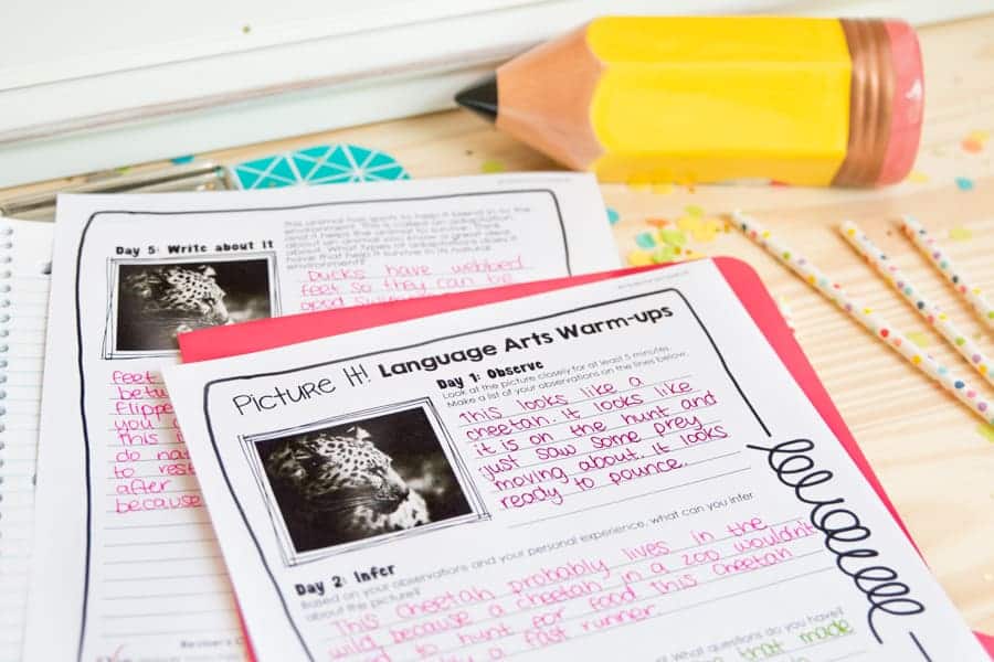 How I built student comprehension skills with photos