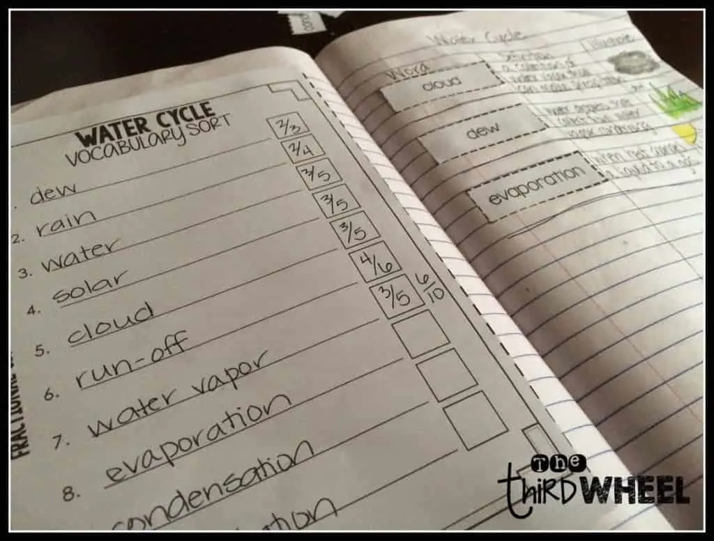 Building Science Vocabulary during Language Arts - Differentiated Teaching