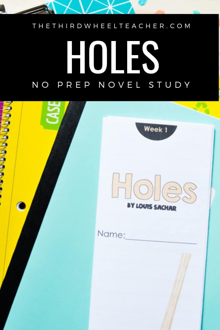 Holes Novel Study Guide with Printable Activities - Differentiated Teaching