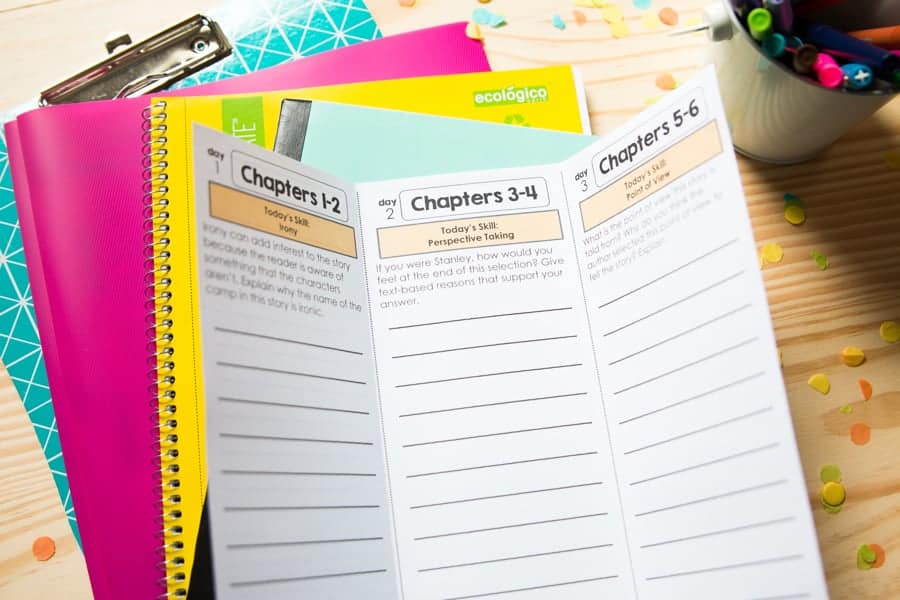 Holes Novel Study Guide with Printable Activities - Differentiated Teaching