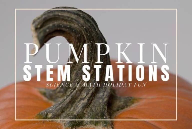 5 Pumpkin STEM Activities for Hands-on Fun