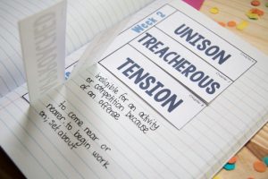 Stone Fox Novel Study Unit - Differentiated Teaching