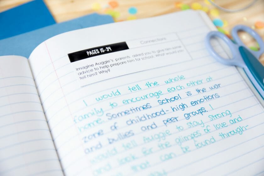 Wonder Novel Study Unit