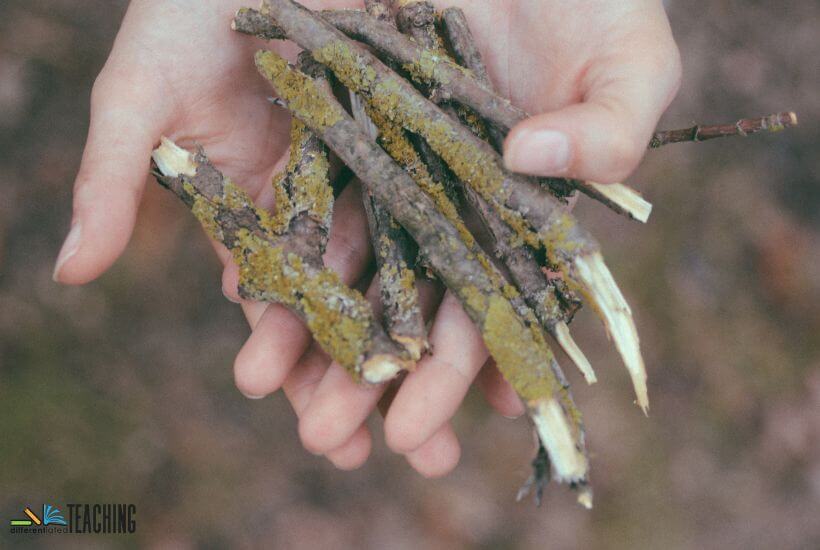 5 Epic STEM Activities for Hatchet Designed to Increase Engagement