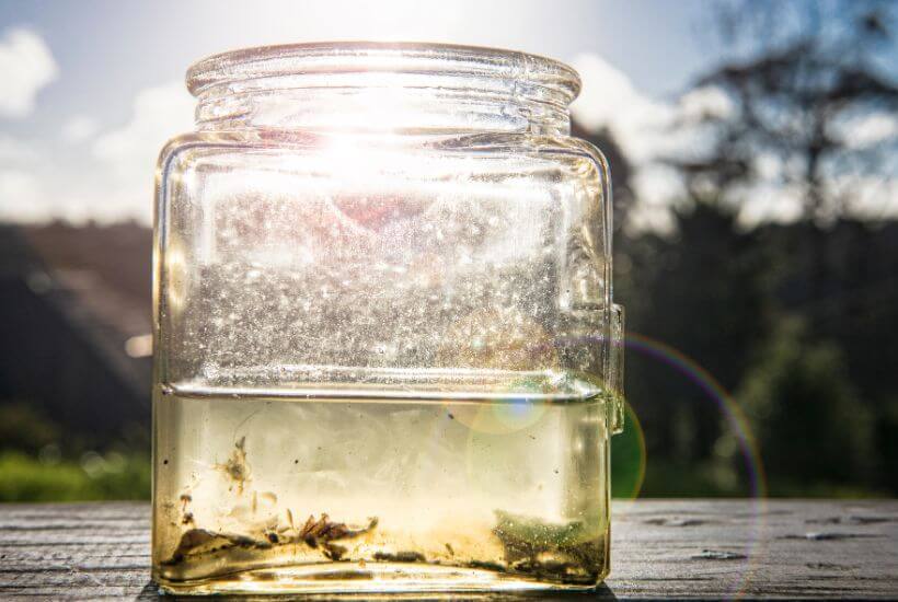 5 Epic STEM Activities for Hatchet Designed to Increase Engagement