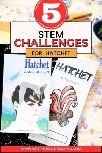 5 Epic STEM Activities for Hatchet Designed to Increase Engagement