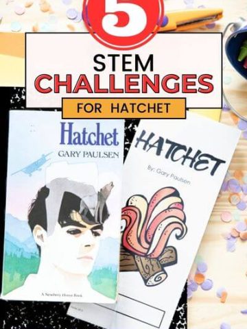 Among the Hidden Novel Study Guide: Lesson Plans, Resources ...